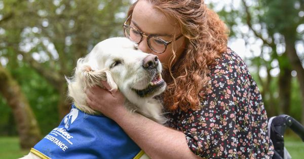 Projet - Soutenons des personnes autistes à l’aide des chiens d ...